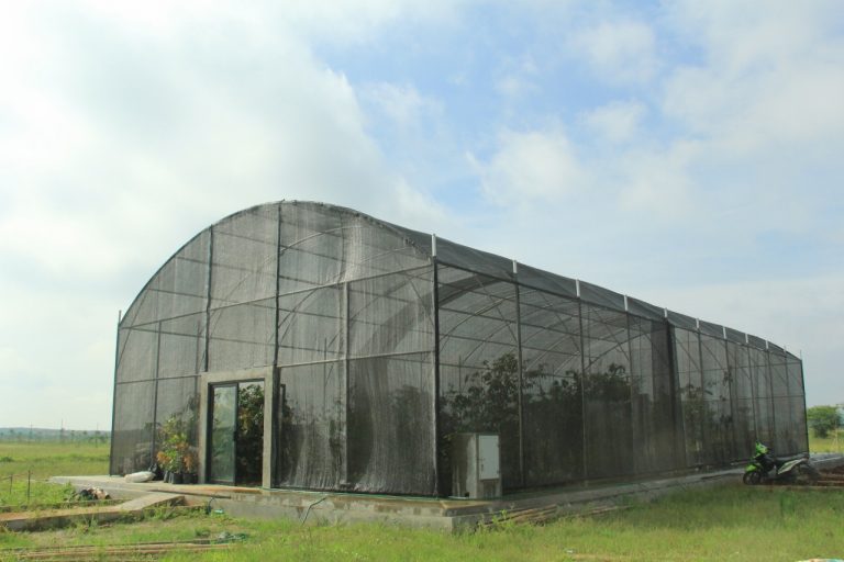 Kebun Raya ITERA, Pusat Konservasi Tanaman Sumatera - ITERA