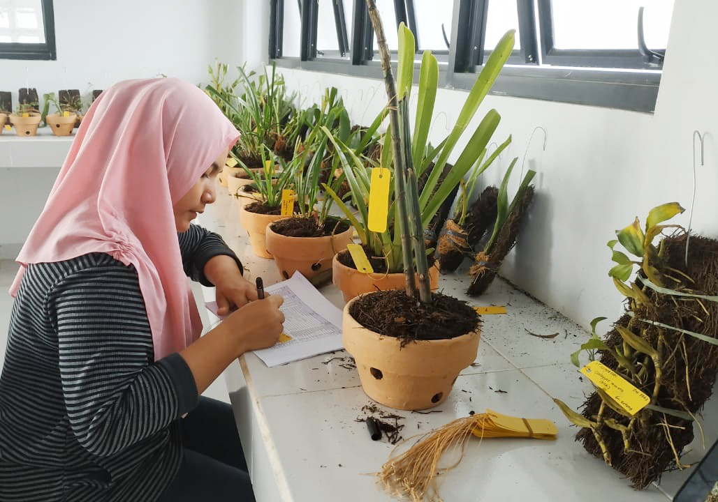 Kebun Raya ITERA Tambah Koleksi Tumbuhan Langka Hasil Eksplorasi - ITERA