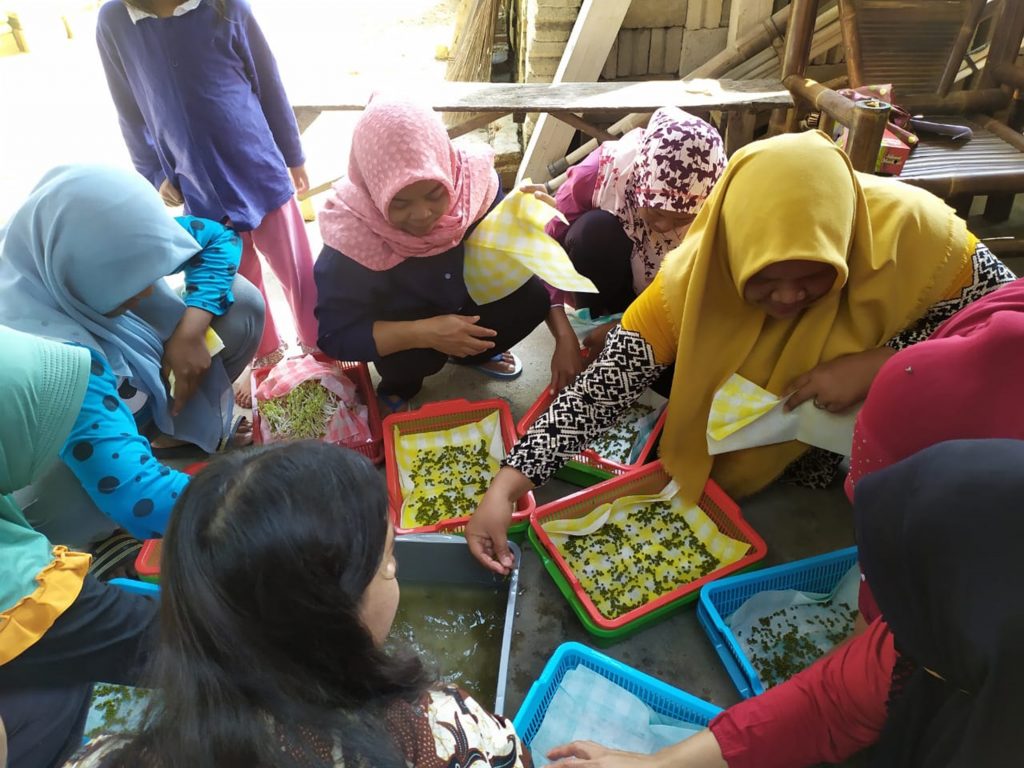 Berdayakan Ekonomi Warga, Dosen ITERA Ajarkan Teknik Pembuatan Taoge ... Berdayakan Ekonomi Warga, Dosen ITERA Ajarkan Teknik Pembuatan Taoge ...