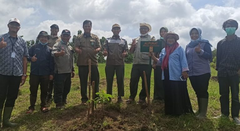 Pohon di Arboretum ITERA Dipasangi Barcode Edukatif - ITERA
