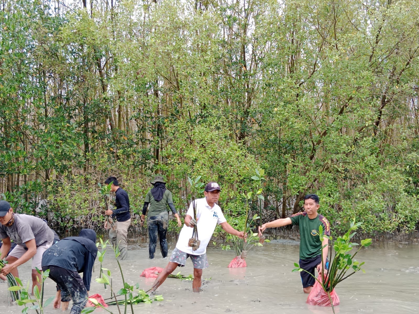 Whatsapp Image 2021 11 29 At 15 14 34 1 Itera