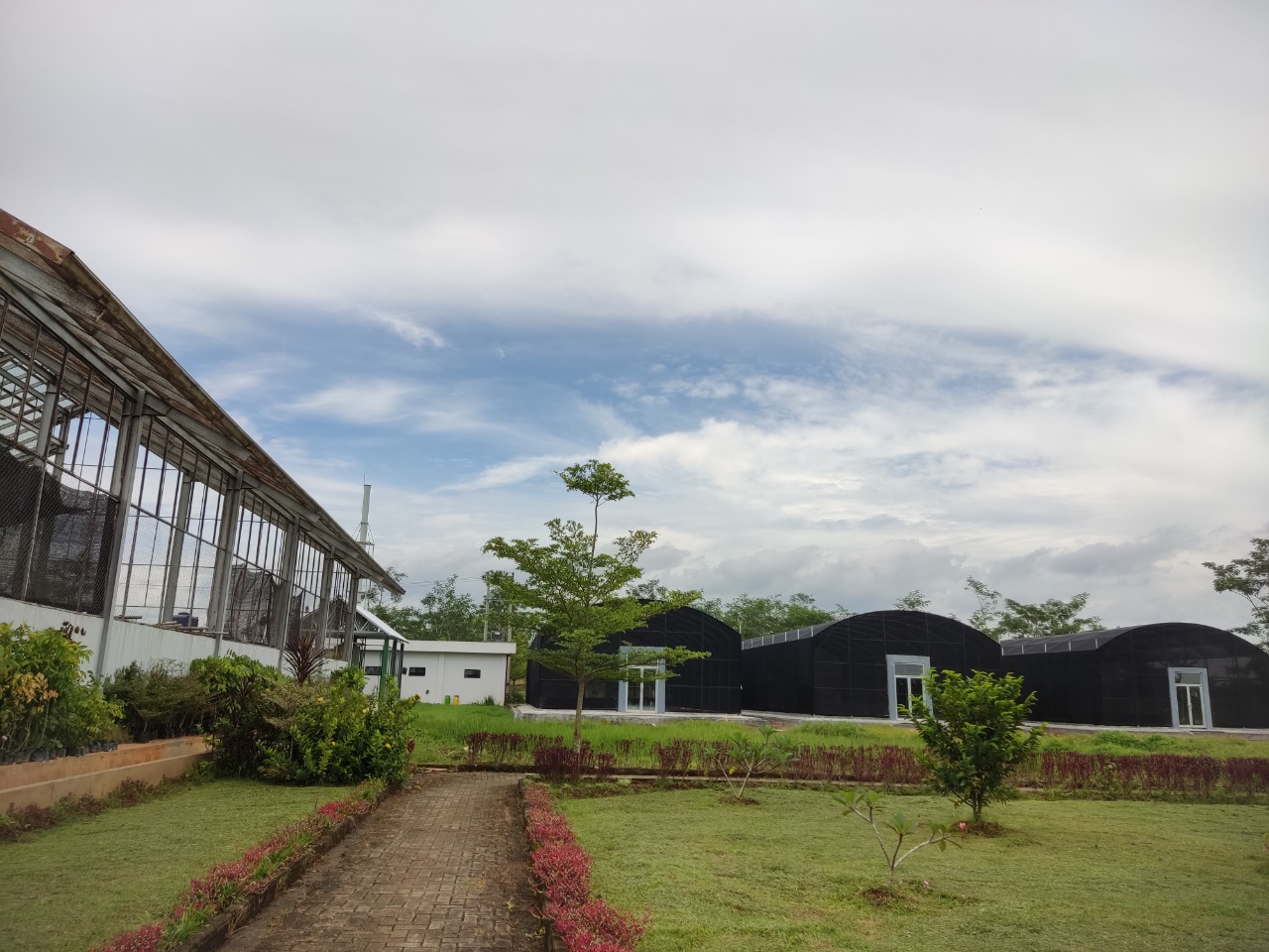 Siap Diresmikan Juni Kebun Raya ITERA Angkat Identitas Flora Sumatera ...