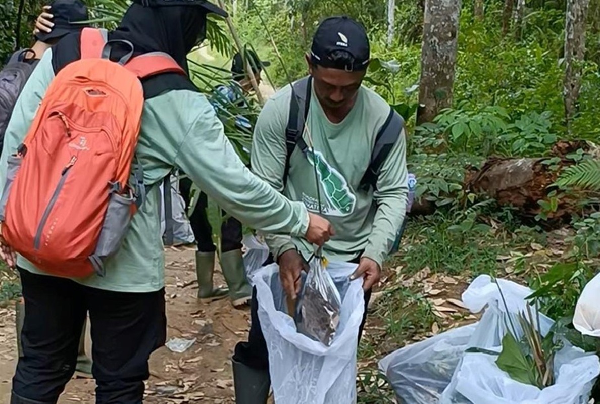 Kebun Raya Itera Berhasil Tambah 100 Koleksi Tumbuhan Langka Hasil ...